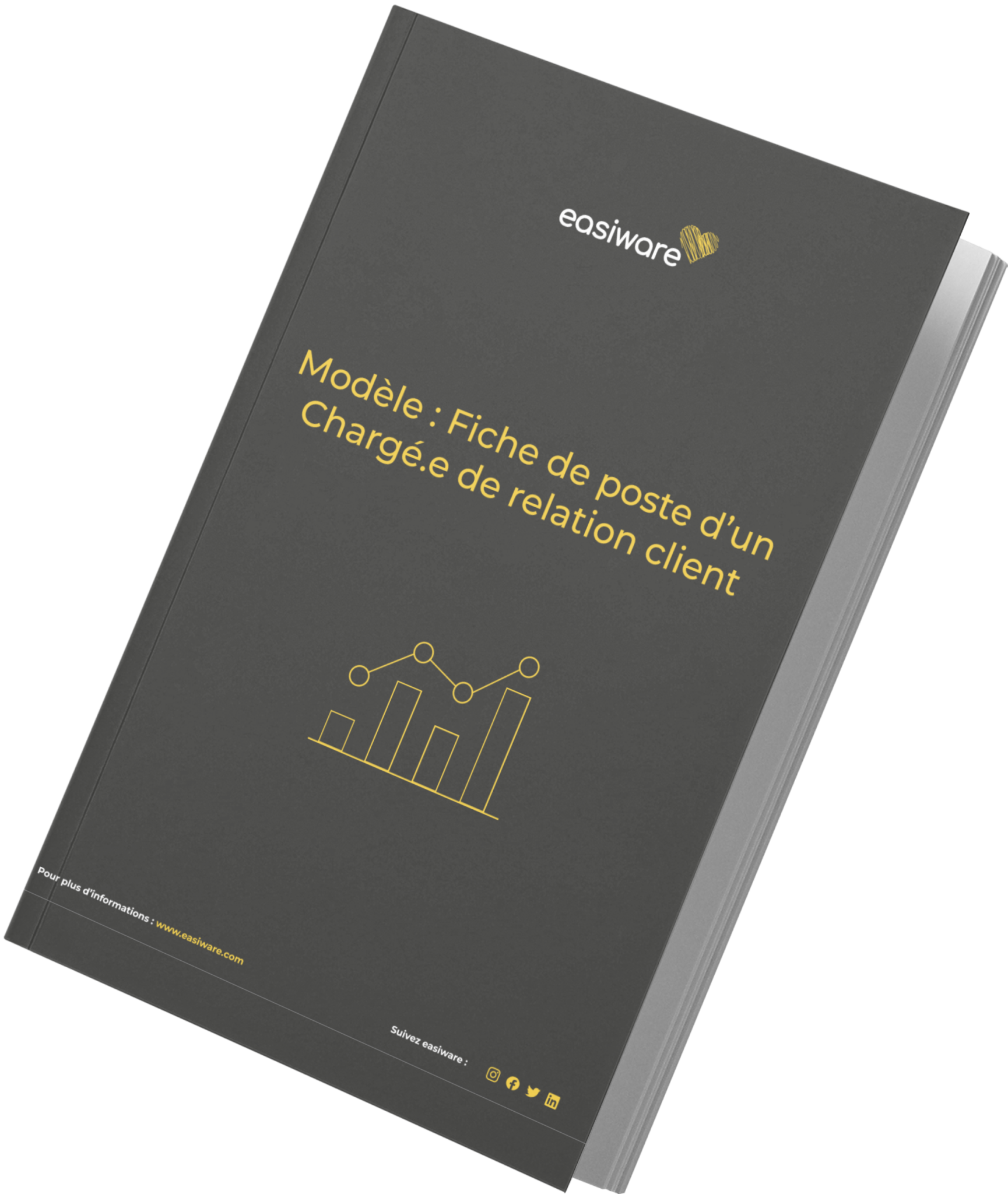 Directeur de la relation client : une fonction en pleine évolution